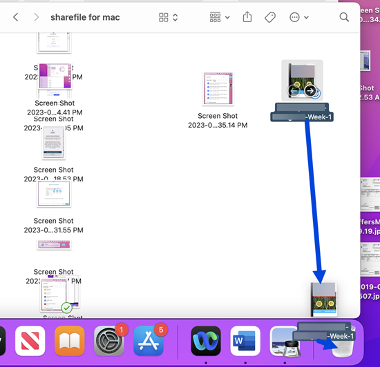 Delete Files ShareFile